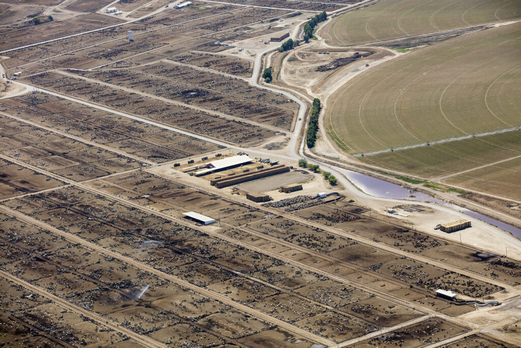 VICTORY! Court denies Simplot's motion to dismiss lawsuit over illegal ...