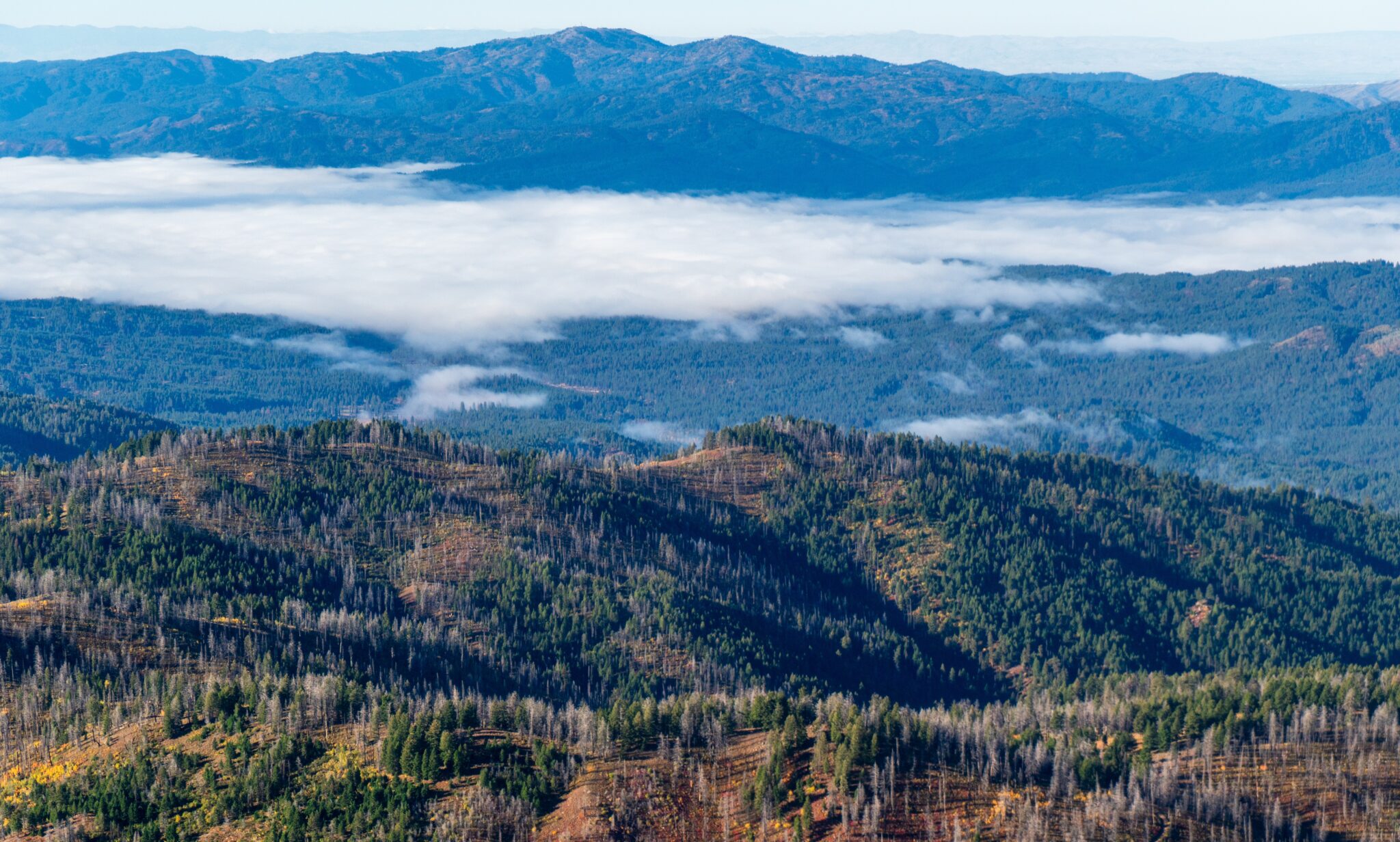 Safeguarding the Boise River watershed from CuMo mining exploration ...