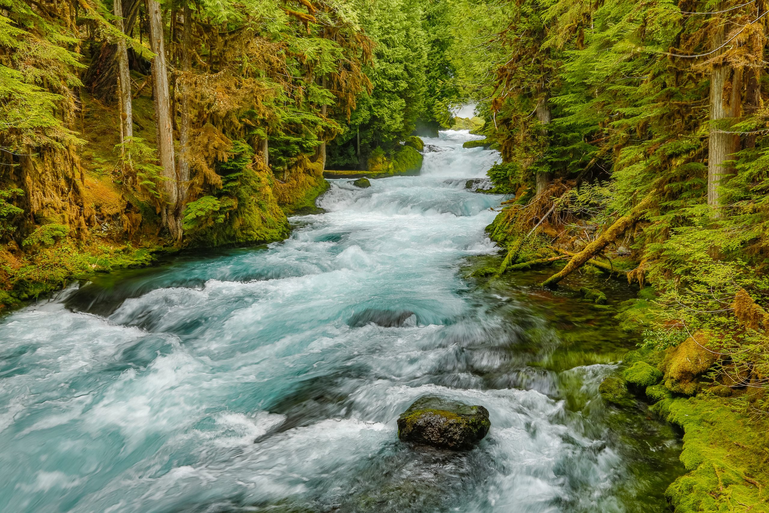 Lawsuit Challenges Eugene Water and Electric Board for Violating ...